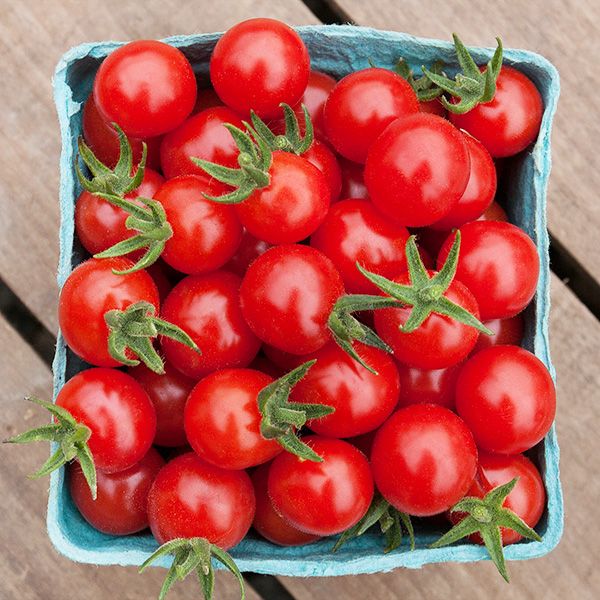 TOMATE CERISE – Plant pour jardin – La Ferme Flanc Sud